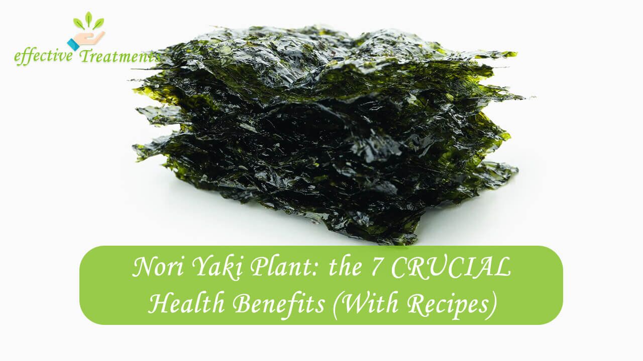 7 CRUCIAL Nori Yaki Benefits for Your Body (with Recipes)