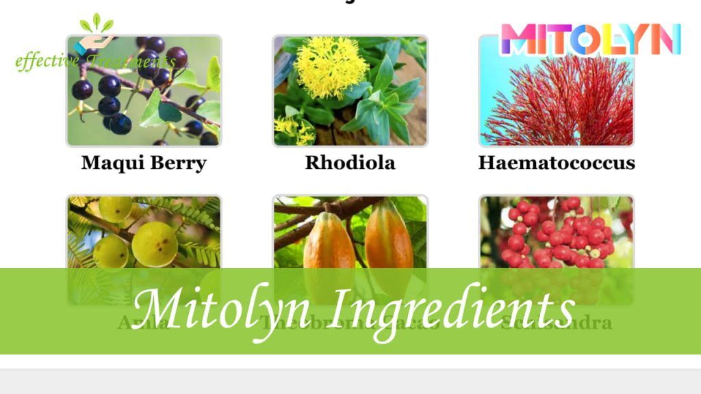 Mitolyn Review [ Andrew Lambert & Mitochondria | The Truth ]